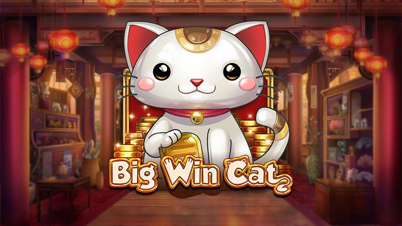 Big Win Cat